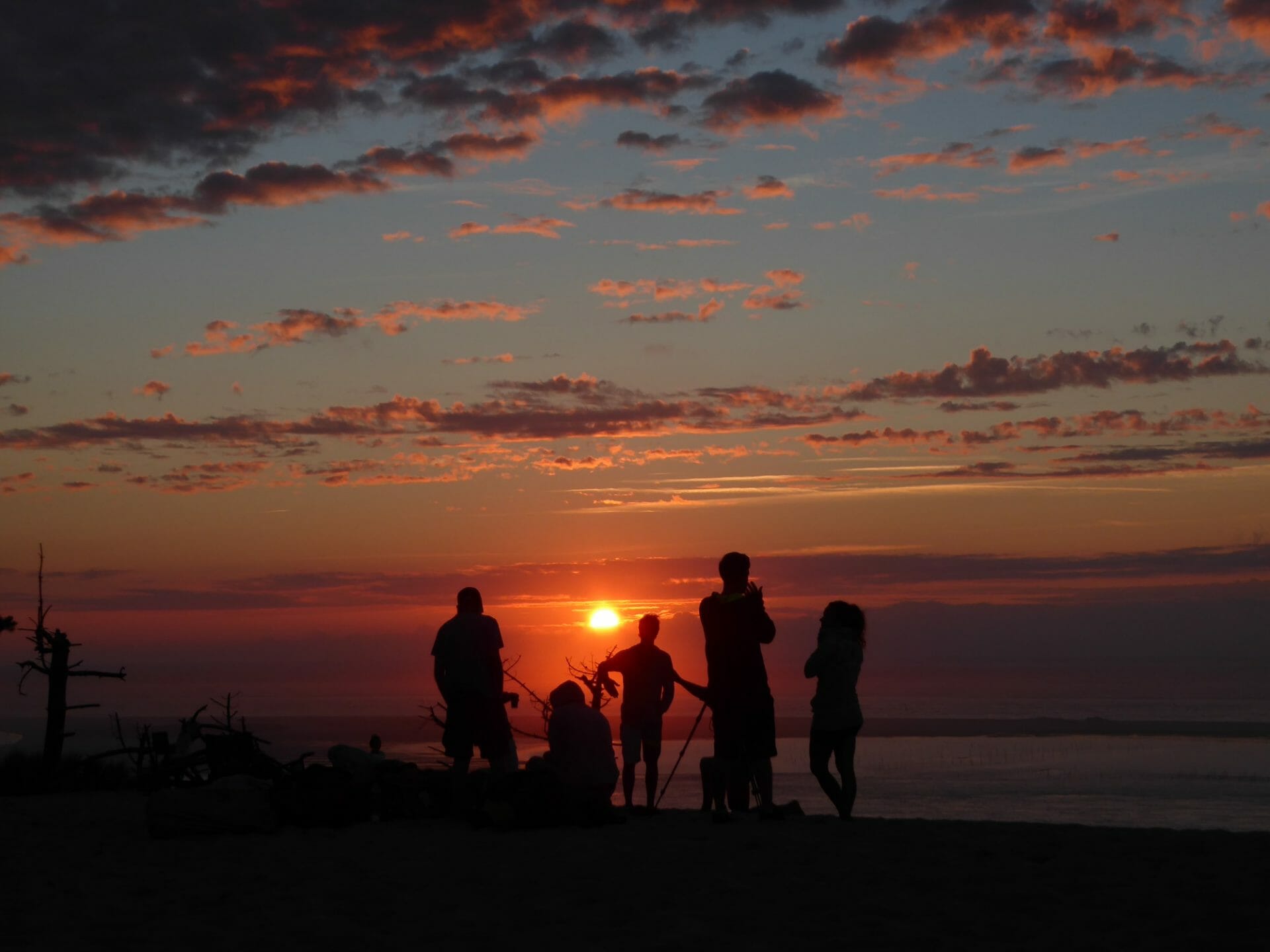 Contact us - Flight Culture