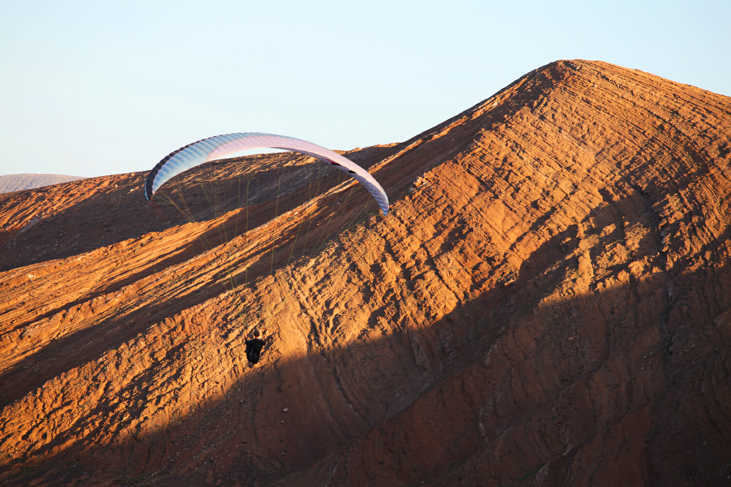 Courses - Flight Culture