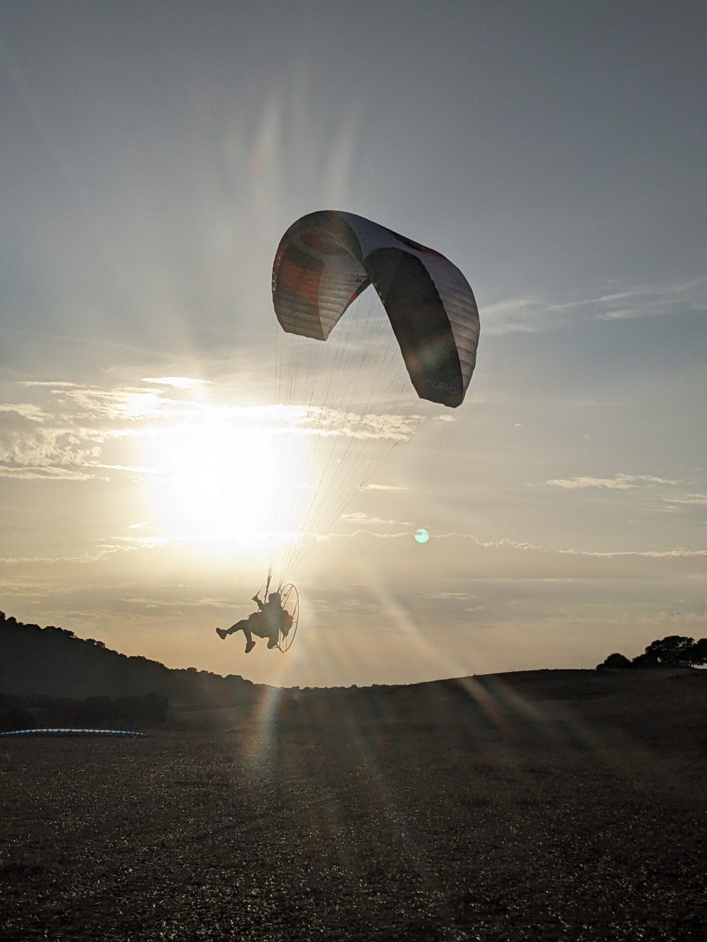 A little ray of sunshine - Flight Culture